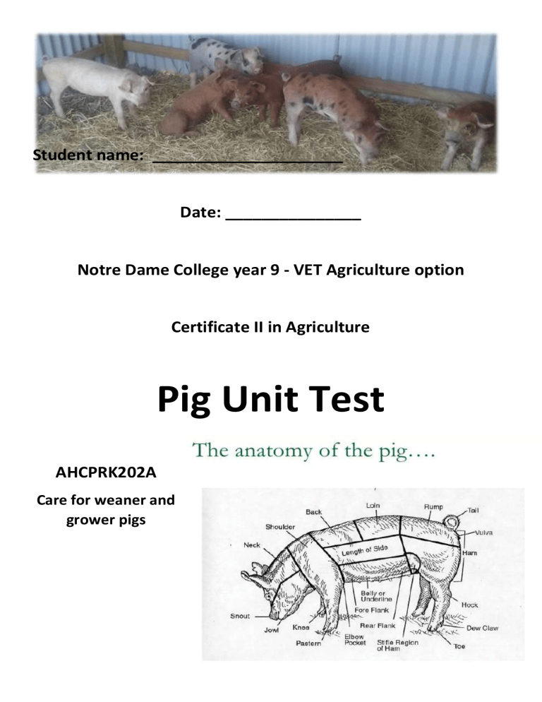 Pig Unit Test: Agriculture, Weaner & Grower Pig Care
