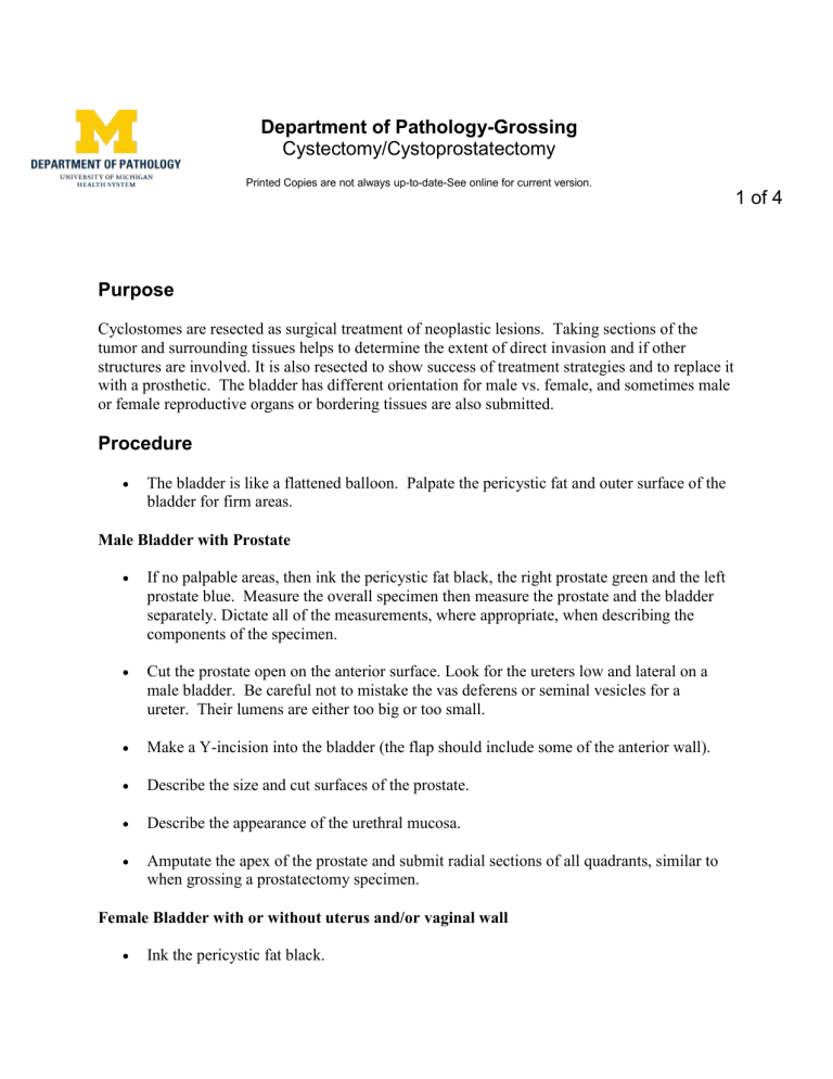 Cystectomy/Cystoprostatectomy Grossing Guideline