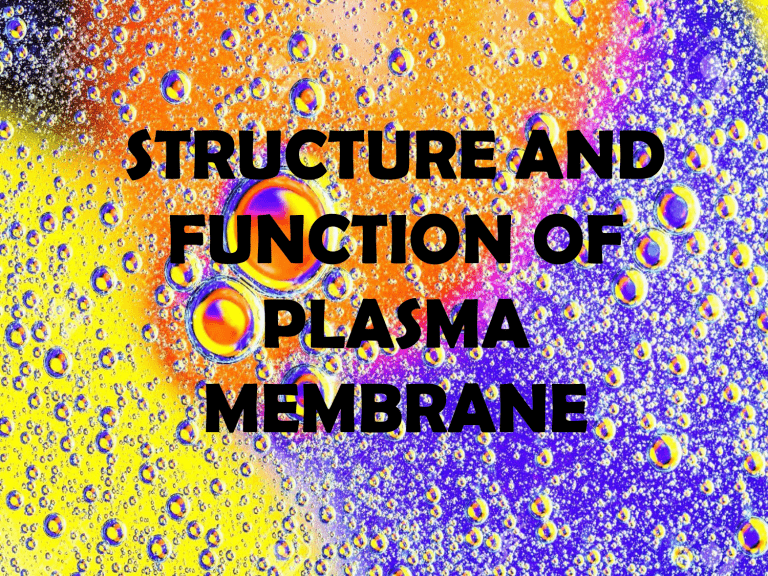 Plasma Membrane: Structure and Function