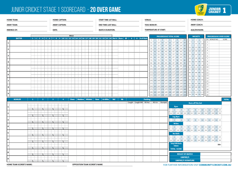 Junior Cricket Scorecard: 20 Over Game