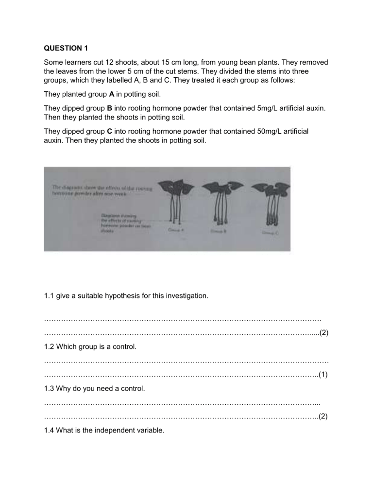 Grade 12 Life Sciences Assignment 2019 TERM 3 