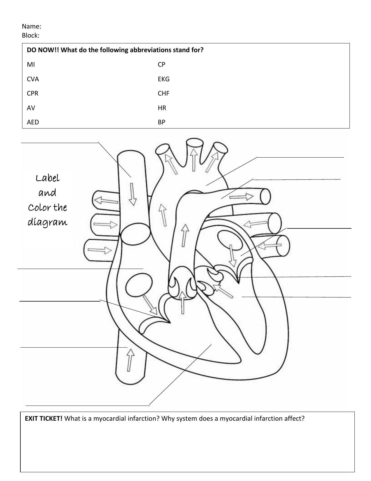13 Basic Anatomy Worksheets Gif Scenesfamemfory