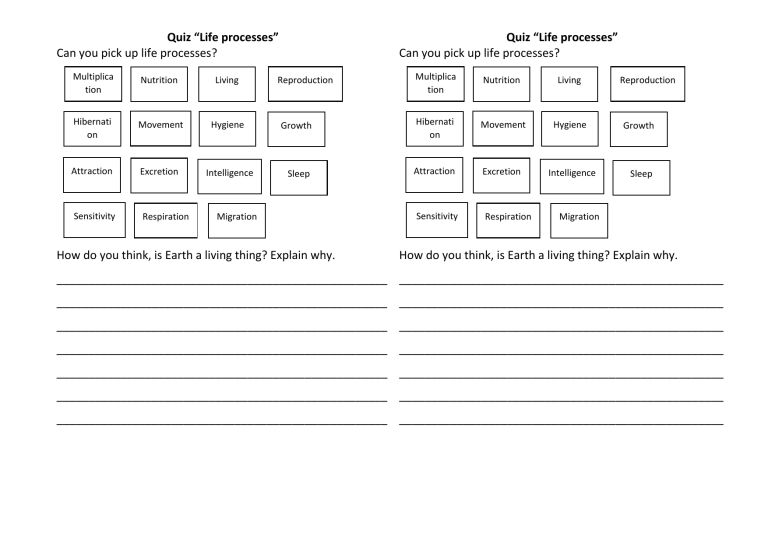 Quiz Life Processes Quiz Life Processes