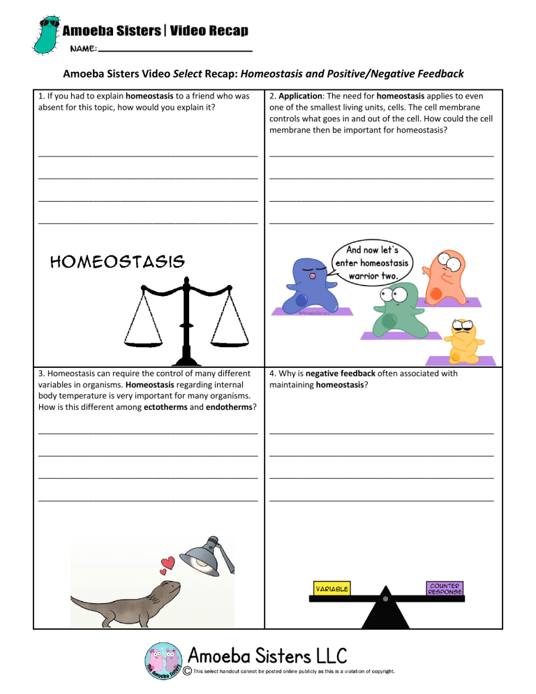Ameoba Sisters Homeostasis Worksheets