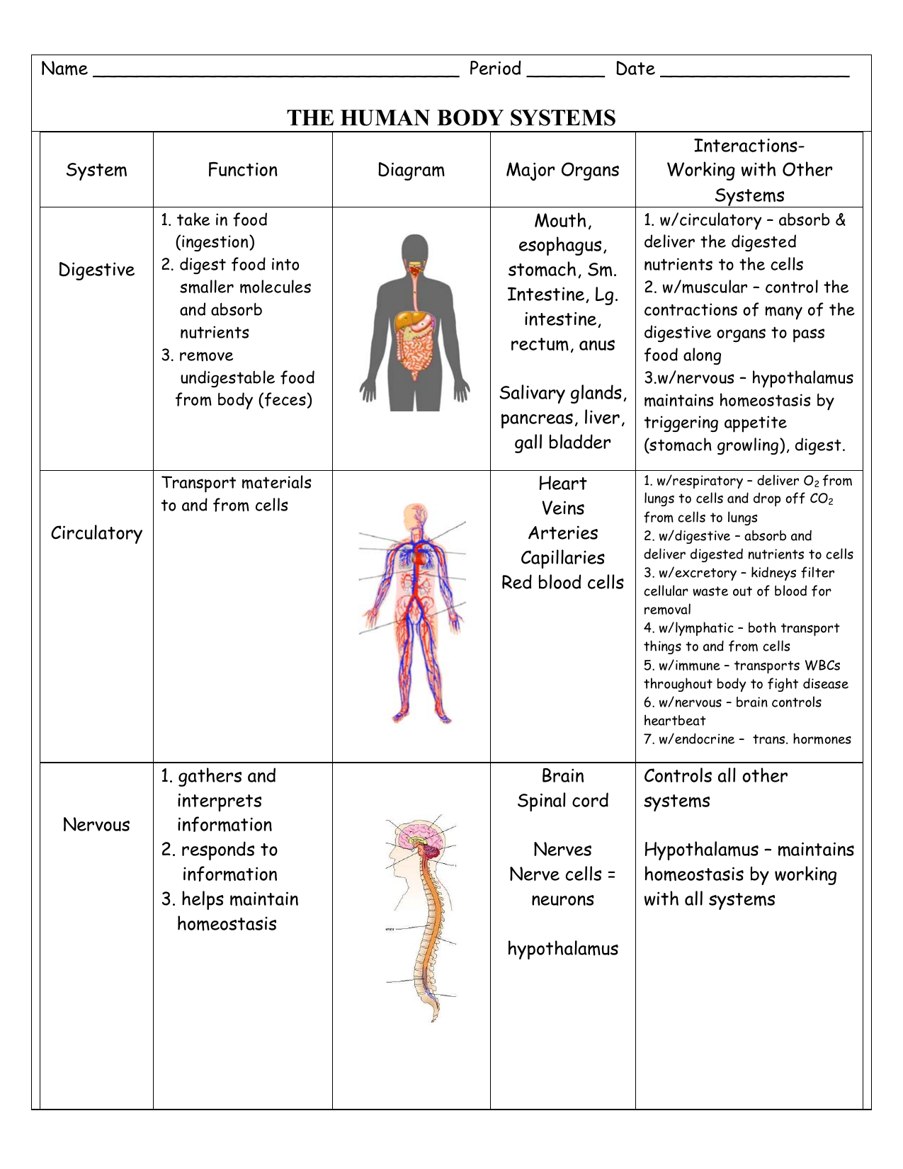 Body Systems Interactions Chart