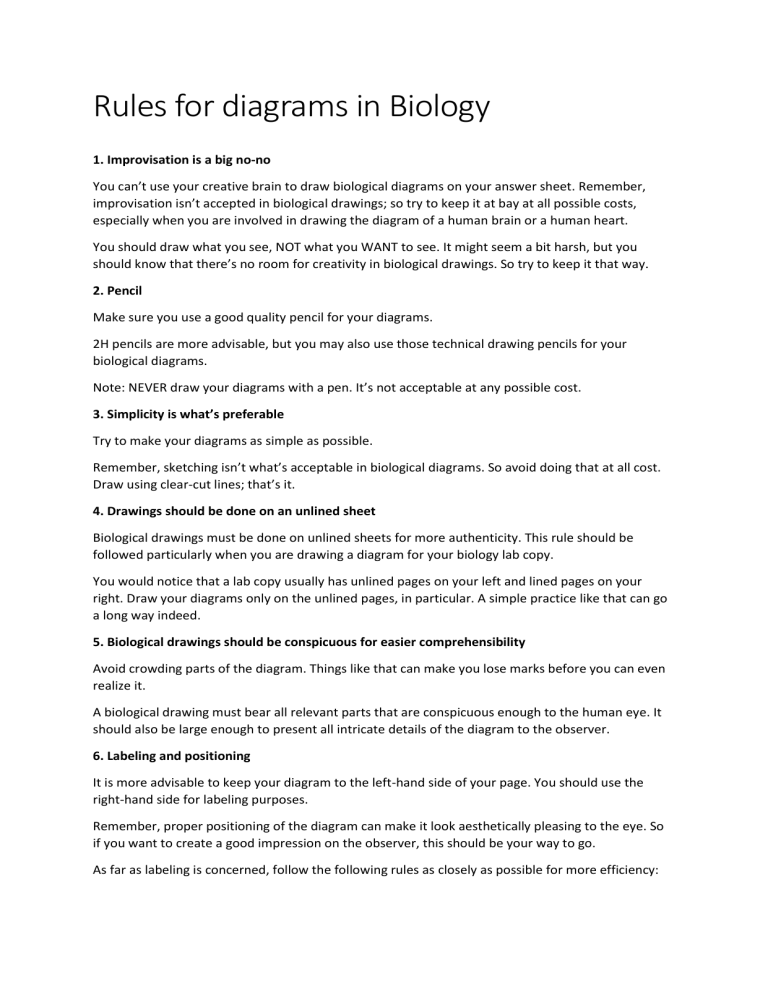 Rules For Diagrams In Biology