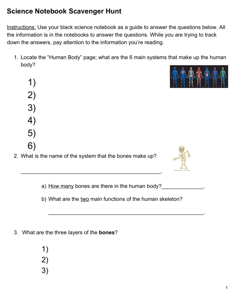 Human Body Scavenger Hunt