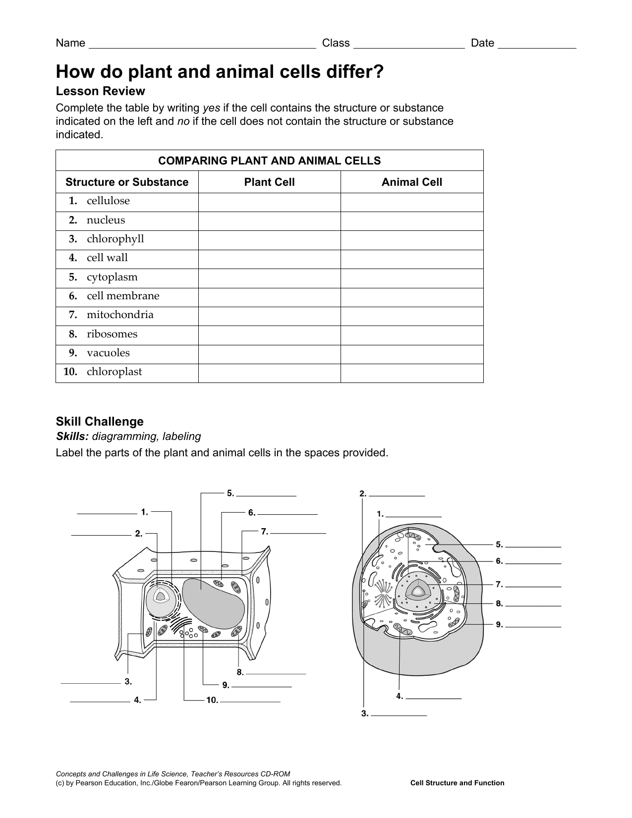 Animal And Plant Cells Worksheet Animal And Plant Cells Worksheet