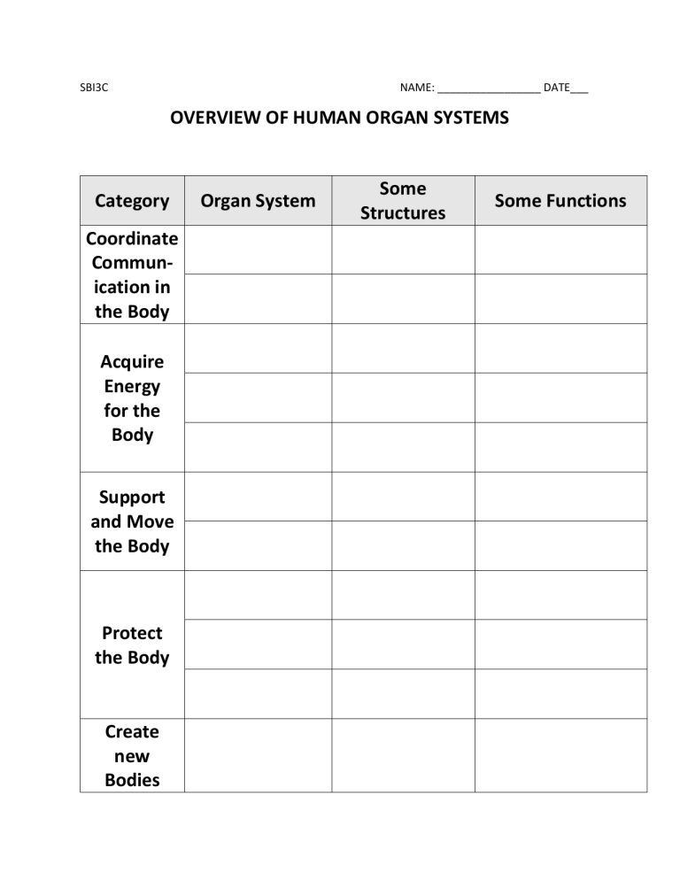 Overview of organ systems ws1