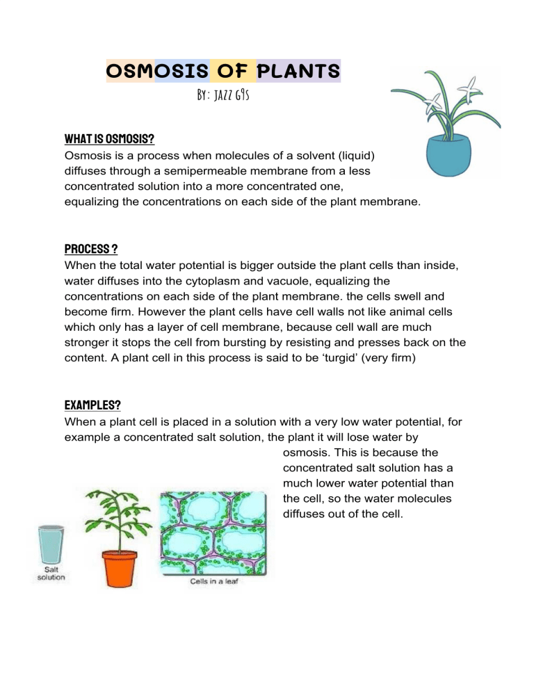 Osmosis In Plants Definition Process Examples