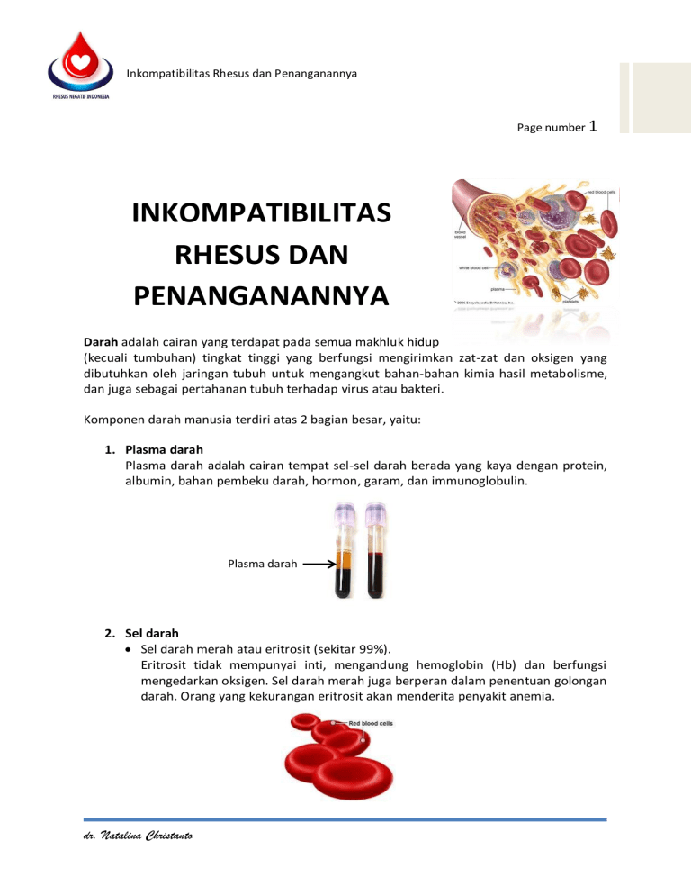 Inkompatibilitas Rhesus dan Penanganannya