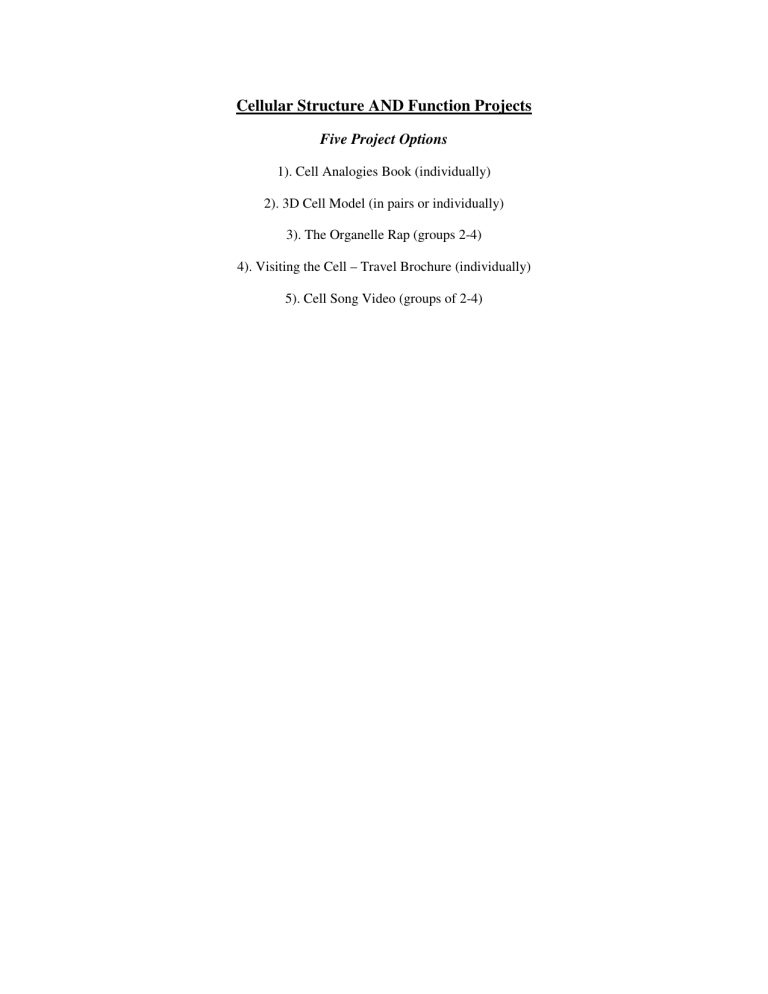 Cell Structure and Function Activities