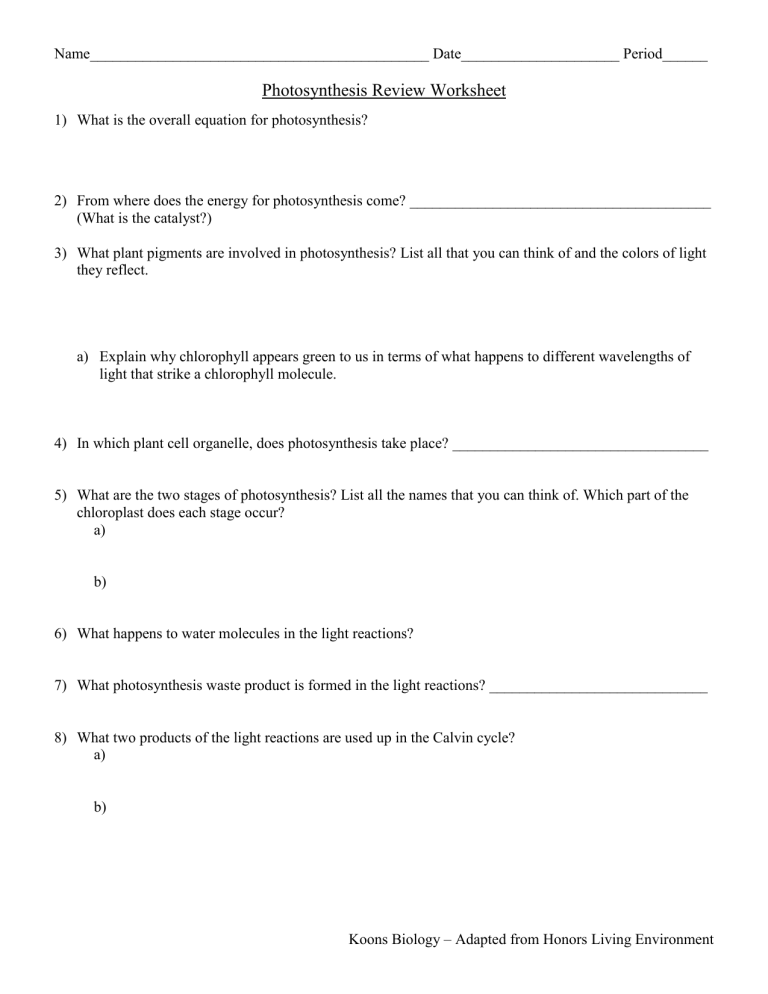 Photosynthesis Review Worksheet