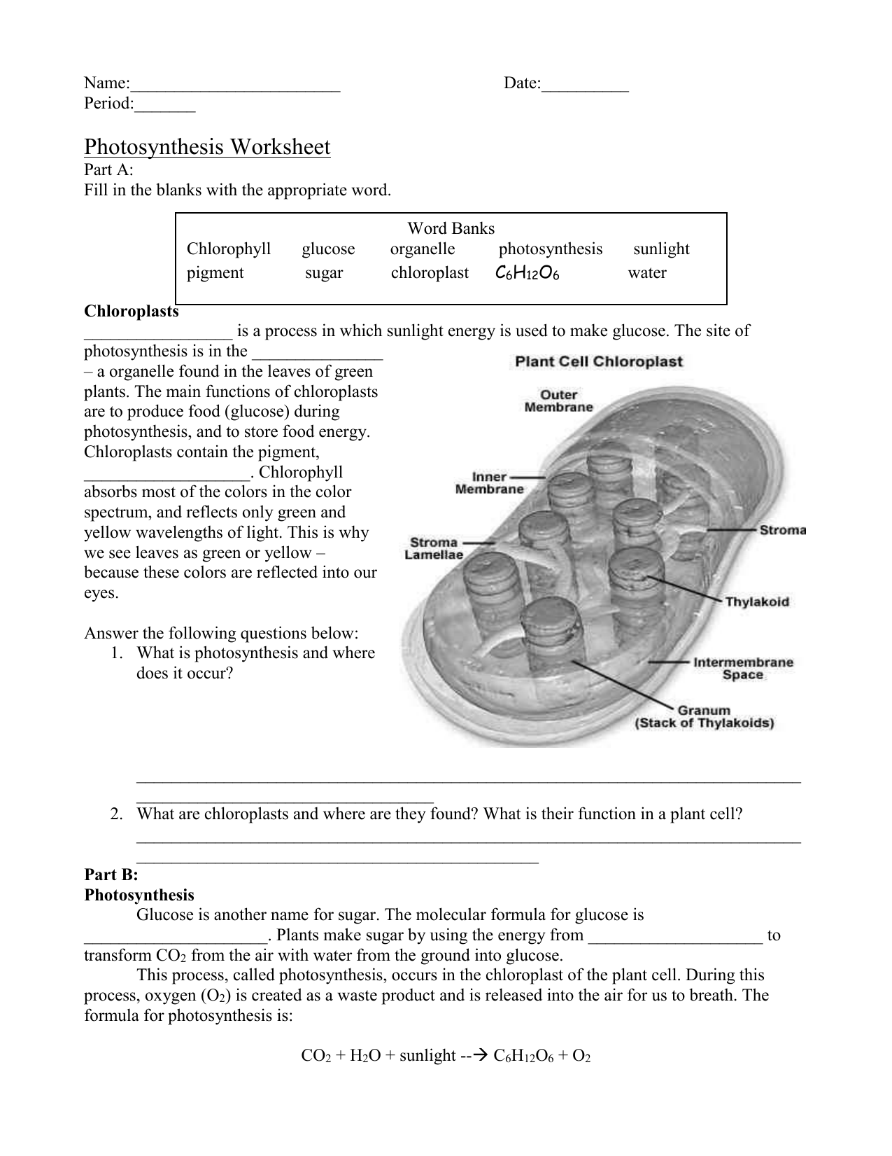 Photosynthesis Worksheet Answer Key Photosynthesis Worksheet Answer Key