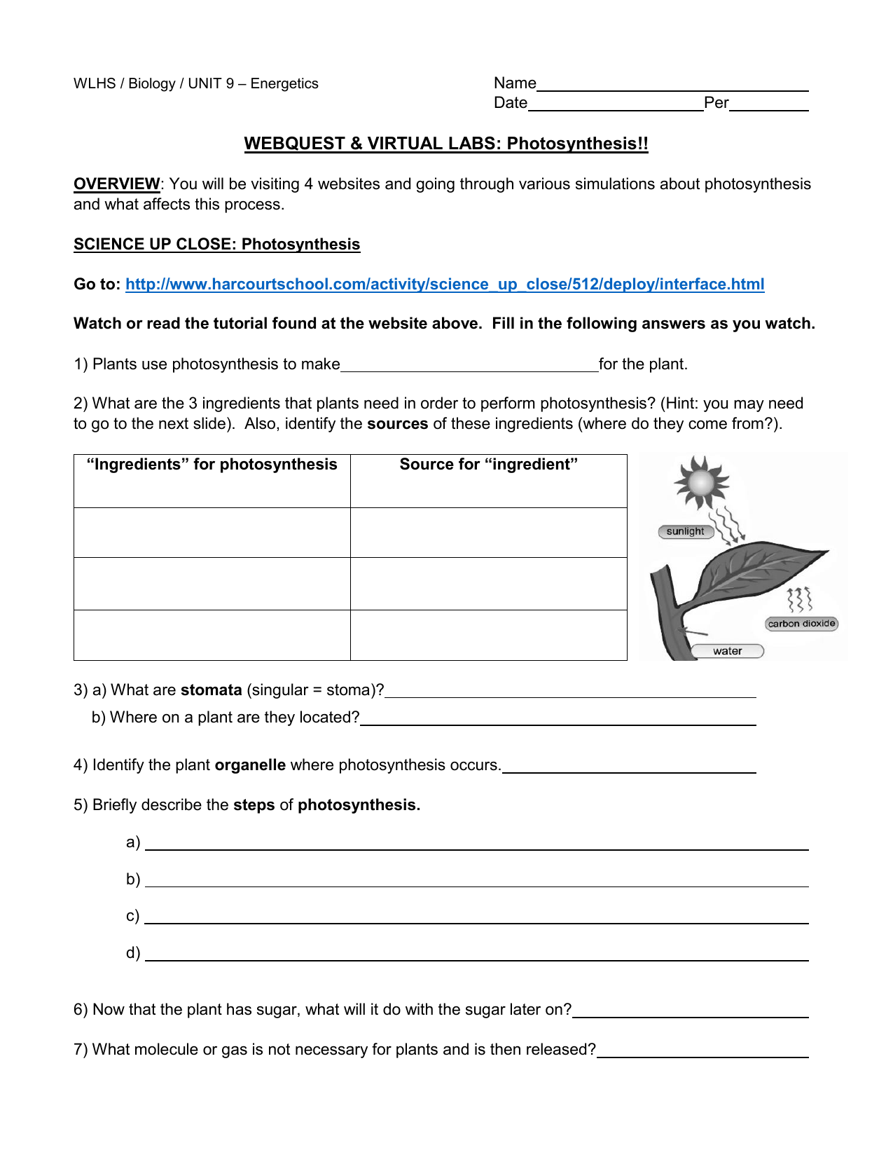 WEBQUEST Photosynthesis Virtual Labs NM NEW WEBQUEST Photosynthesis Virtual Labs NM NEW