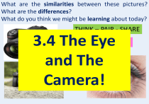 Eye vs. Camera: Anatomy & Function Lesson