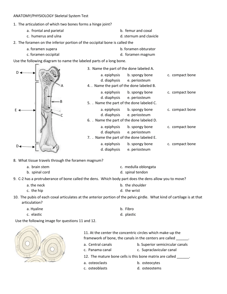 ANATOMY Test 2
