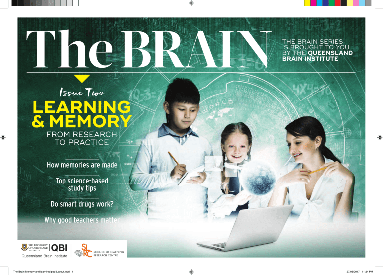 The Brain Learning Memory QBI
