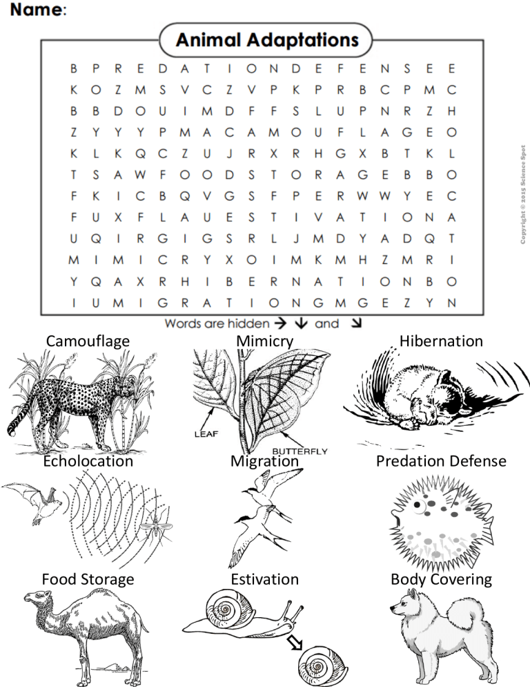 Animal Adaptations Word Search