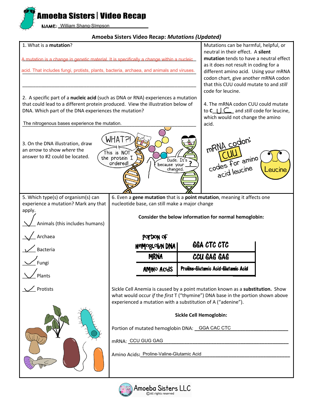 Amoeba Sisters Viruses Worksheet
