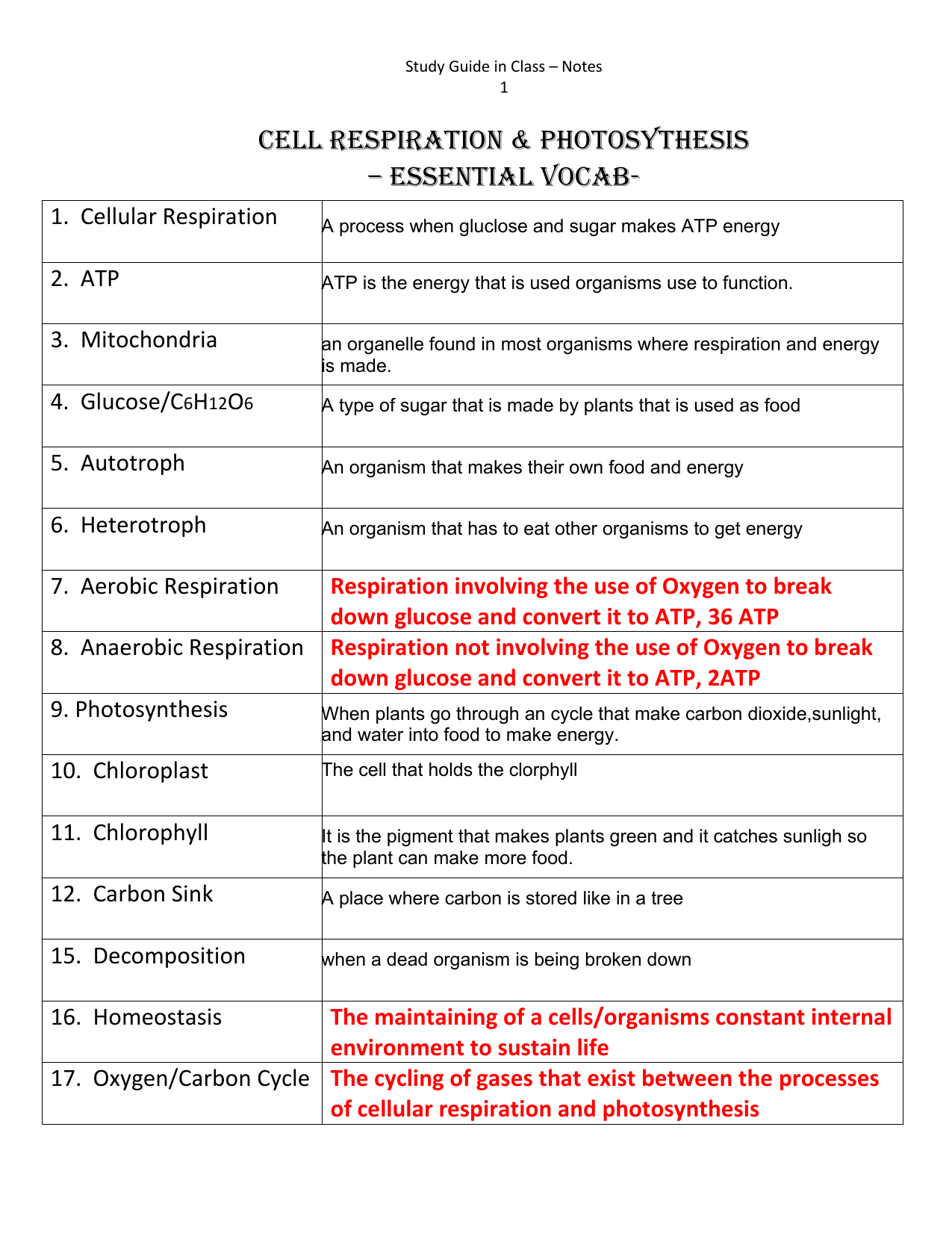 Respiration And Photosynthesis Study Guide Payton Hetherington Respiration And Photosynthesis Study Guide Payton Hetherington