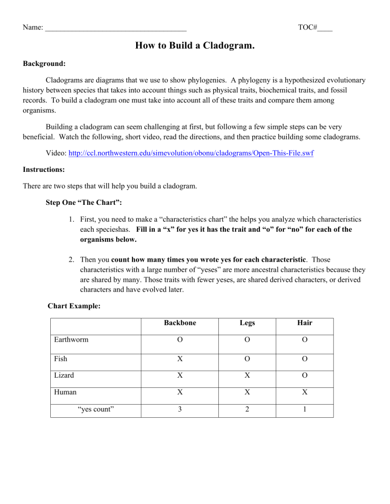 Building A Cladogram Practice Building A Cladogram Practice