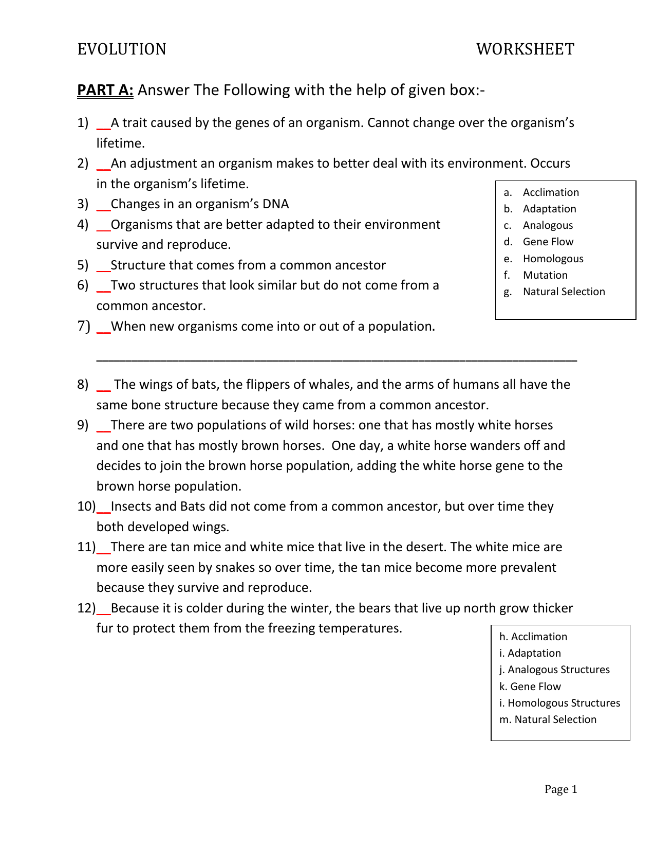 Types Of Evolution Worksheet