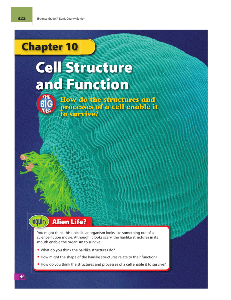 EBookCell Structure And Function