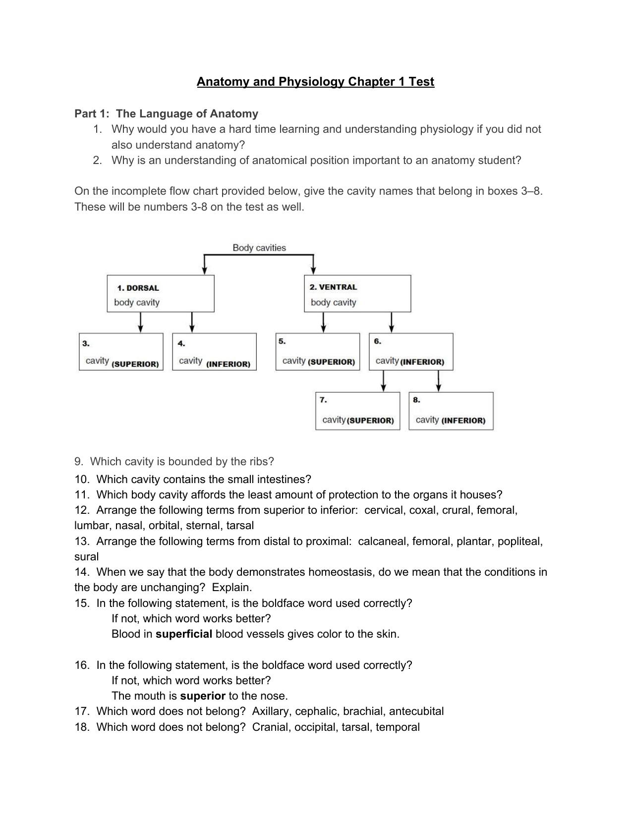 Anatomy And Physiology Chapter 1 Review