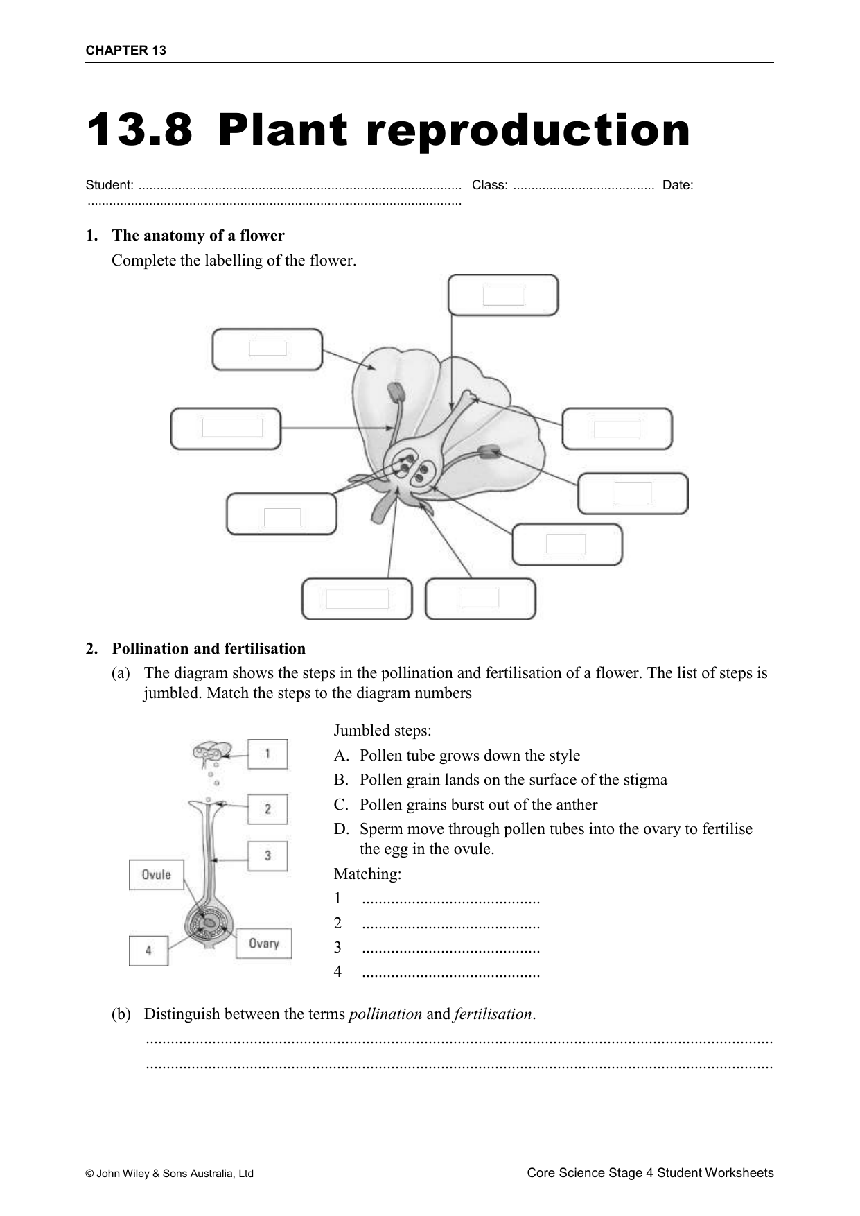 Parts Of Flower Pollination And Fertilization Worksheet Answers Home Alqu