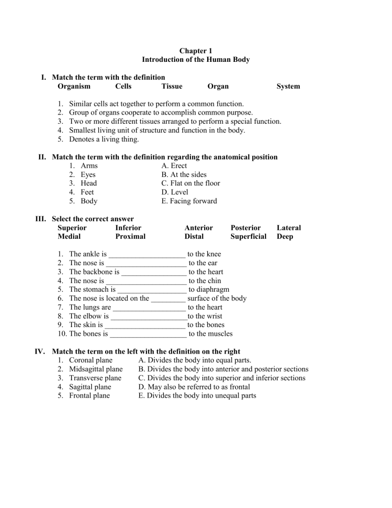 Anatomy And Physiology Quiz