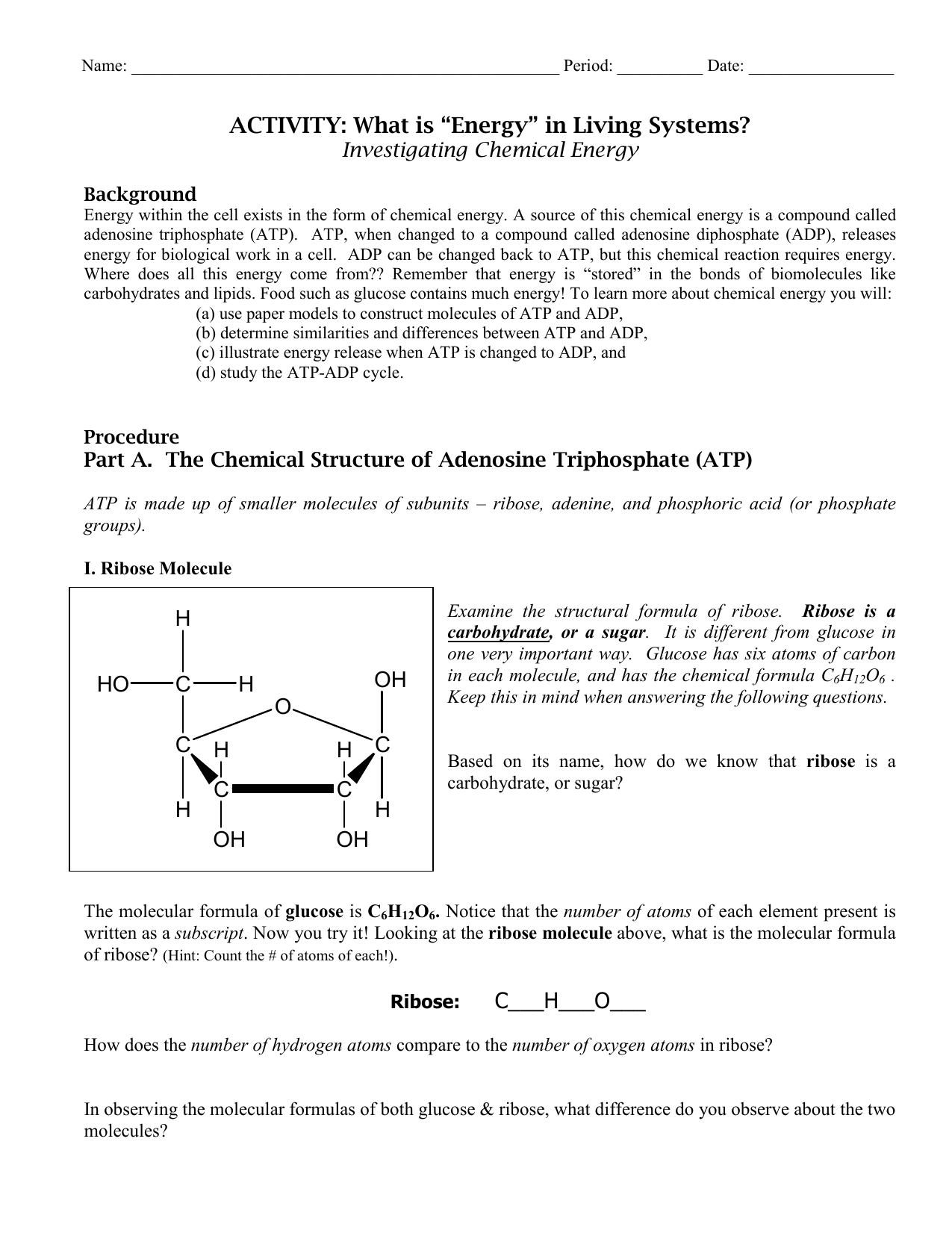 ATP Model Activity Student Handout ATP Model Activity Student Handout