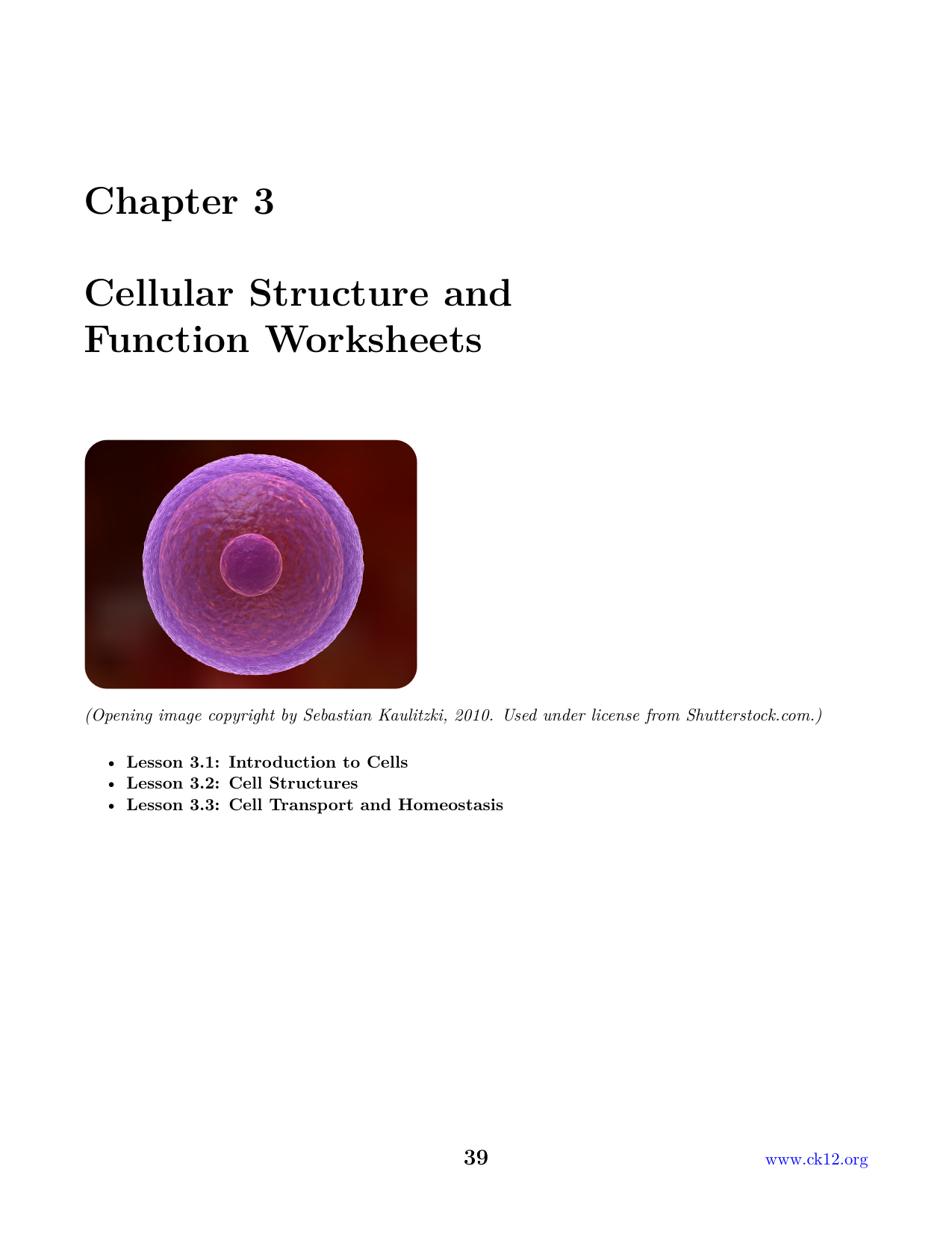 Chapter 3 CK 12 Biology Chapter 3 Worksheets