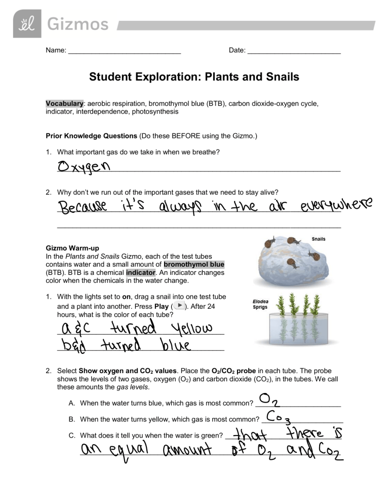 Student Exploration Plants And Snails Gizmo Answer Key