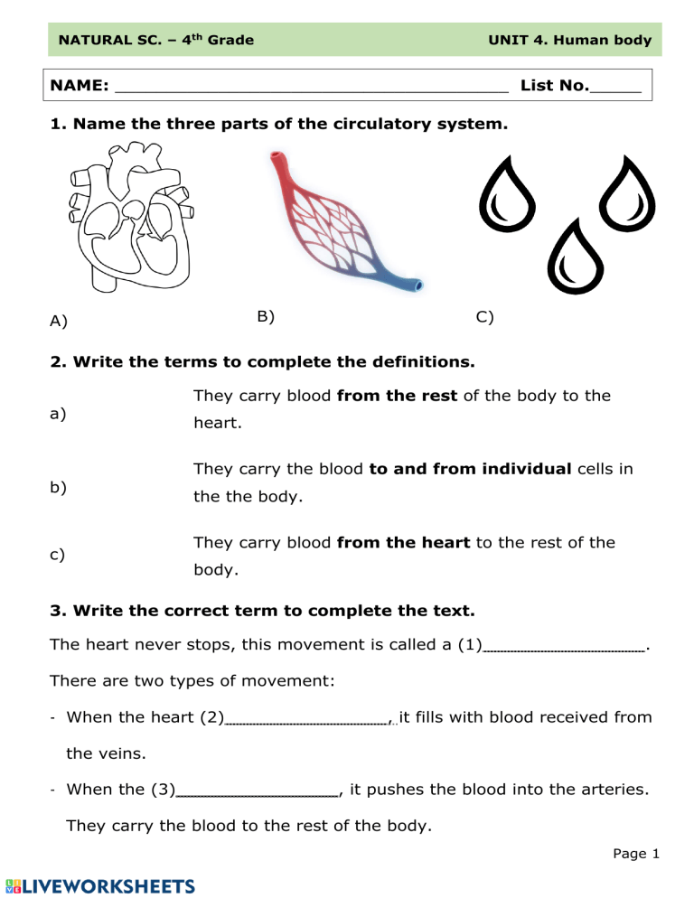 4th Grade Circulatory System Worksheet 4th Grade Circulatory System Worksheet
