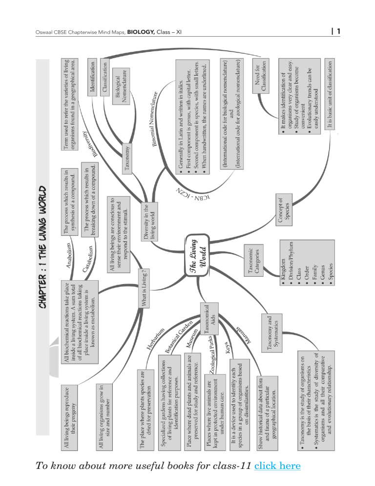 Class 11 Biology Mind Maps