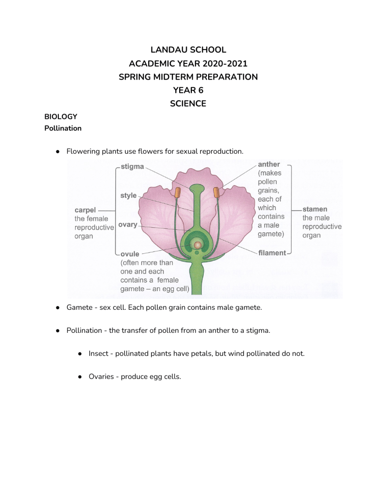 Exploring Science 8b 8f 8j Revision Exploring Science 8b 8f 8j Revision