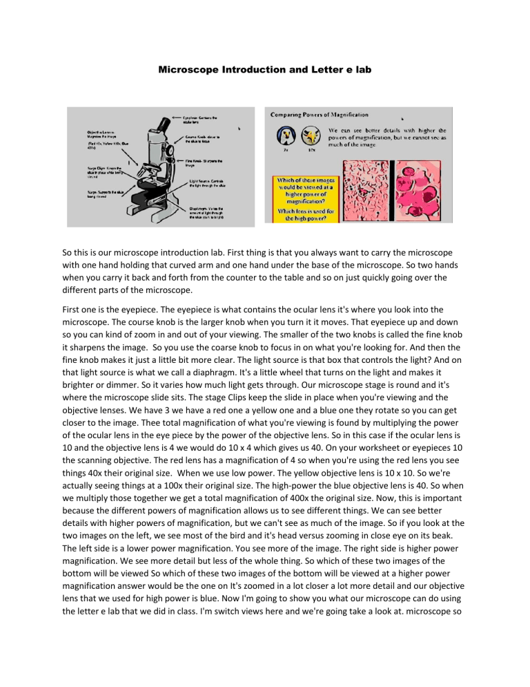 Microscope Intro & Letter e Lab