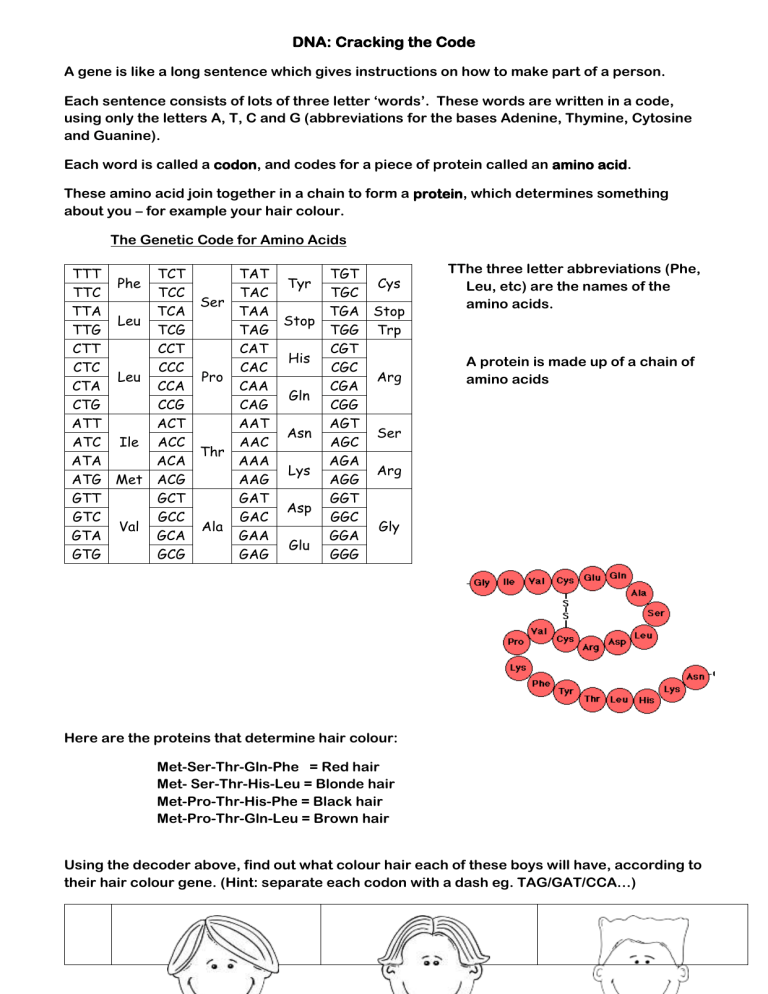 DNA Cracking The Code DNA Cracking The Code