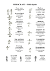 Field Signals Guide: Military Hand Signals