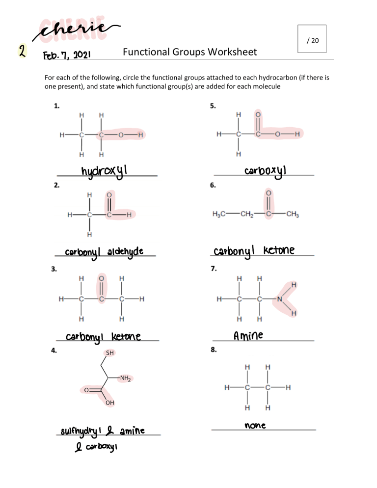 Biochemistry Worksheet 2