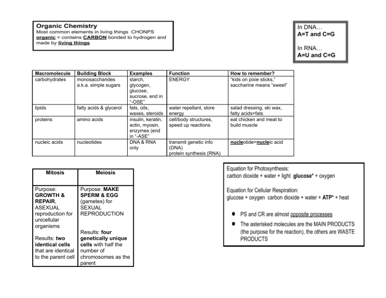 Biology MCAS Crib Sheet