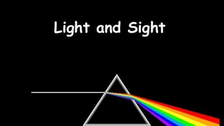 Light Project