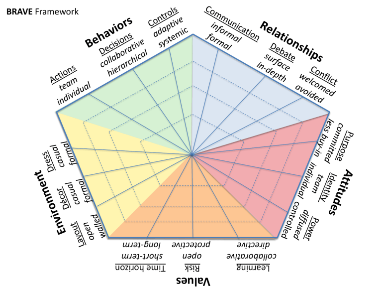 BRAVE Framework: Culture Assessment Tool