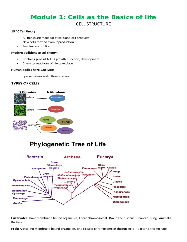 Biology Prelim Notes Module 1-4