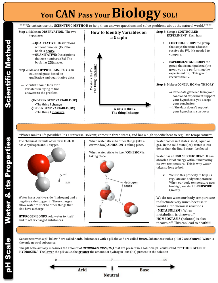 Biology SOL Study Guide: Scientific Method, Cells, & More