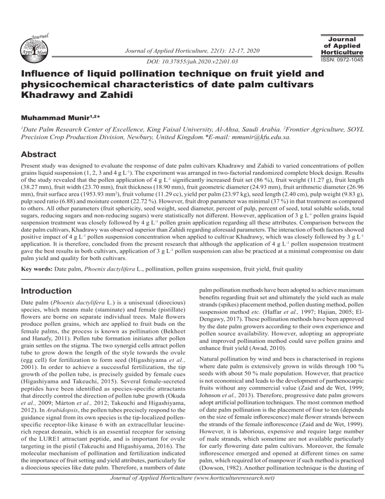 Liquid Pollination Impact on Date Palm Yield & Quality