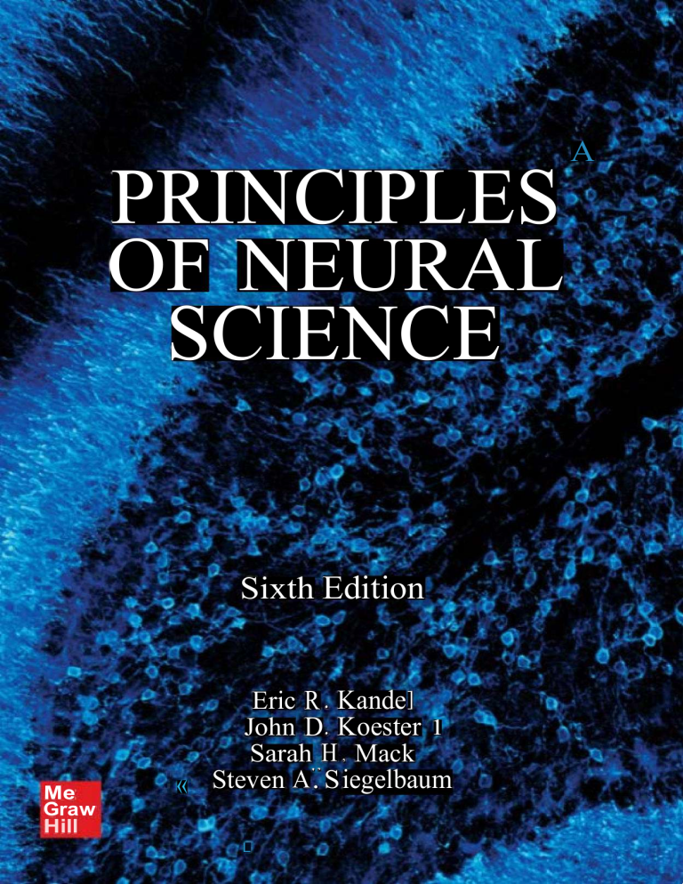 Principles of Neural Science 6th Edition Textbook