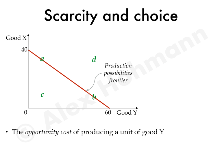 Scarcity and Choice in Economics