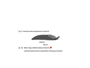 Biology Paper 6 Exam Tips